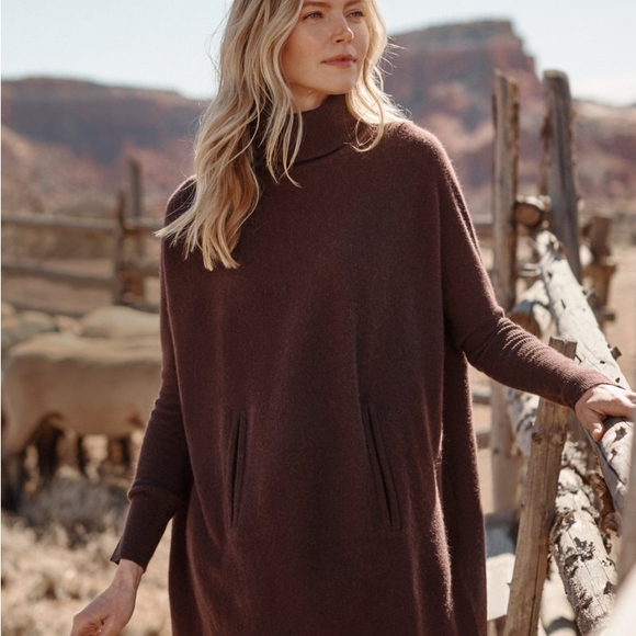 Garnet Hill | Sweaters | Garnet Hill Oversized Brown Turtleneck Sweater ...